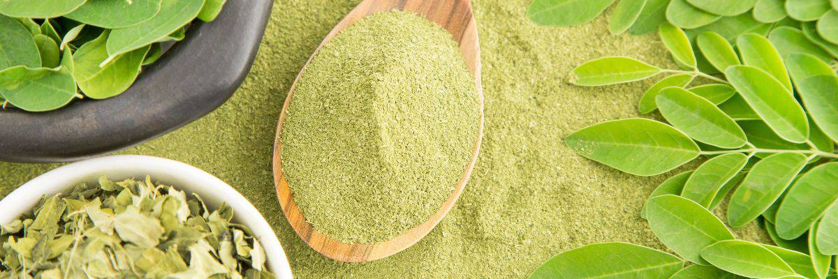 Moringa - Your New Defence Against Aging | Baliba Apothecary.